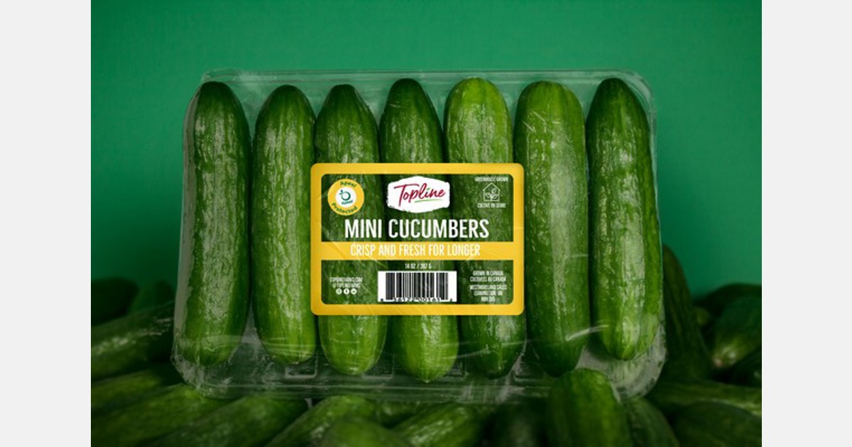 Greenhouse grower launches protected mini cucumber with longer shelf-life