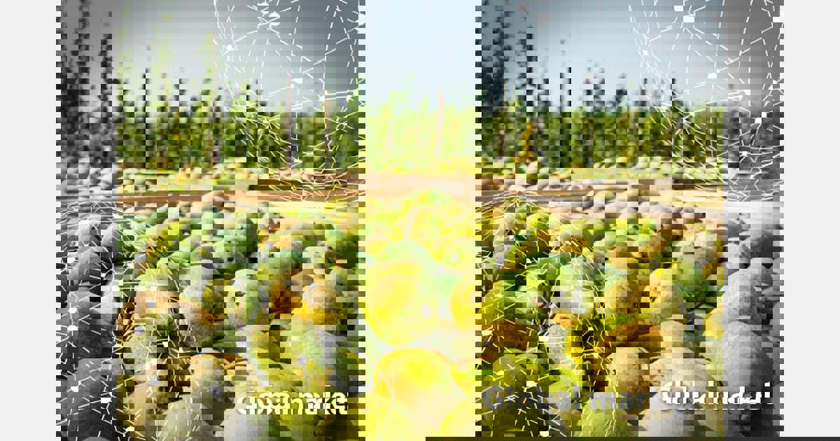 GLOBAL MARKET OVERVIEW PEARS