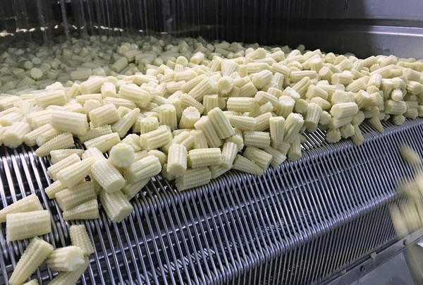 "The future of IQF freezing lies in the development of more energy ...