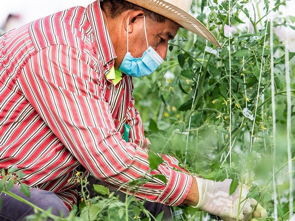 Honoring farmworkers during National Farmworker Awareness Week