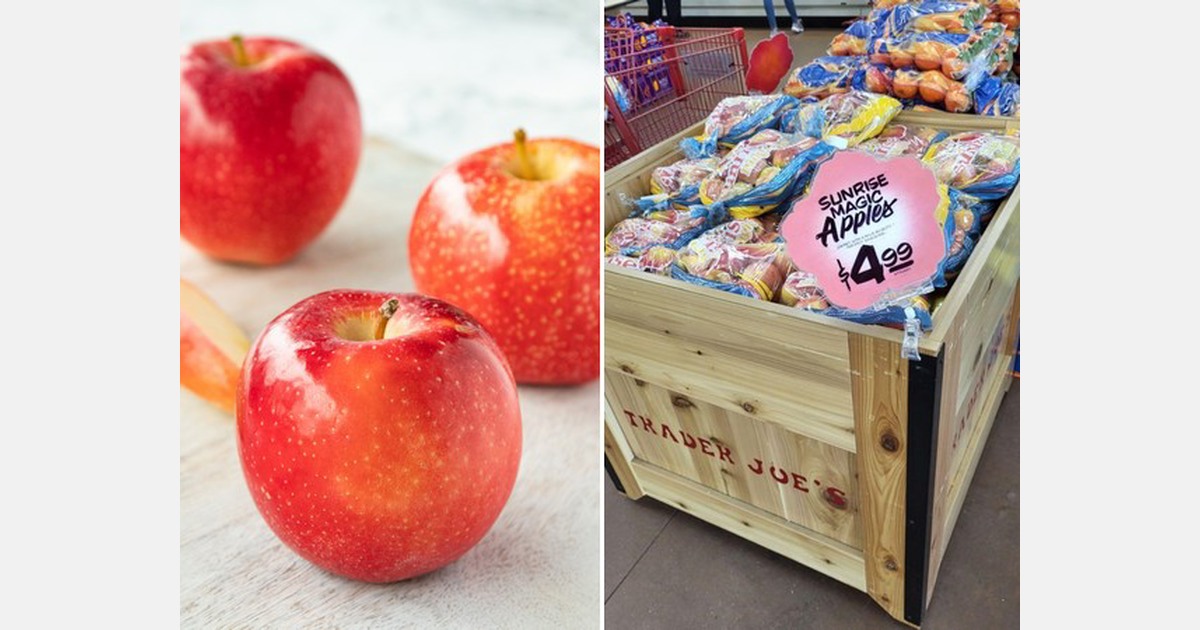 New Sunrise Magic apple variety available across the US