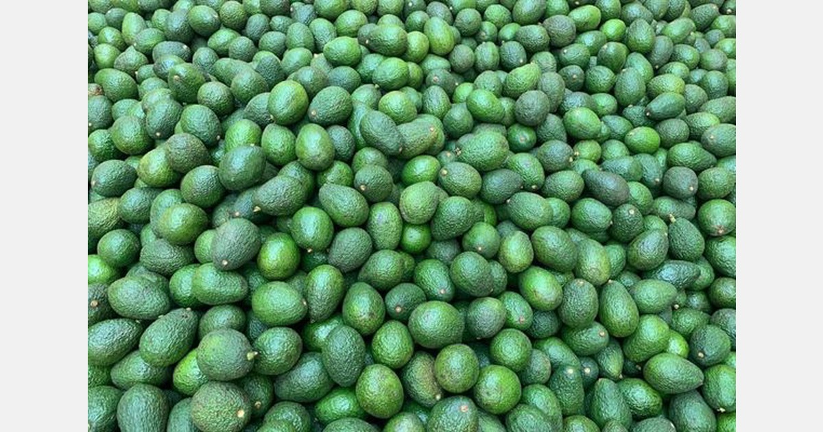 "Rwanda is the next big player in exotic fruit and vegetables"