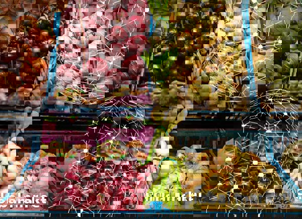 GLOBAL MARKET OVERVIEW ONIONS