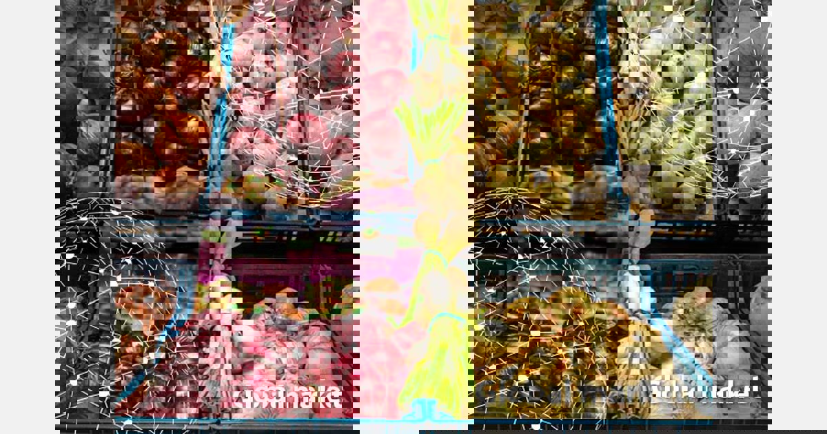 GLOBAL MARKET OVERVIEW ONIONS