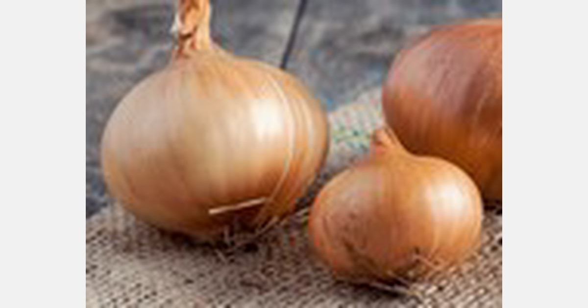 Overview of retail prices for onions in Kyiv