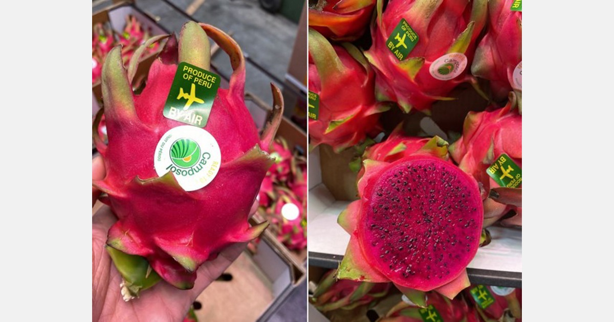 First container of Peruvian pitahaya shipped to Europe