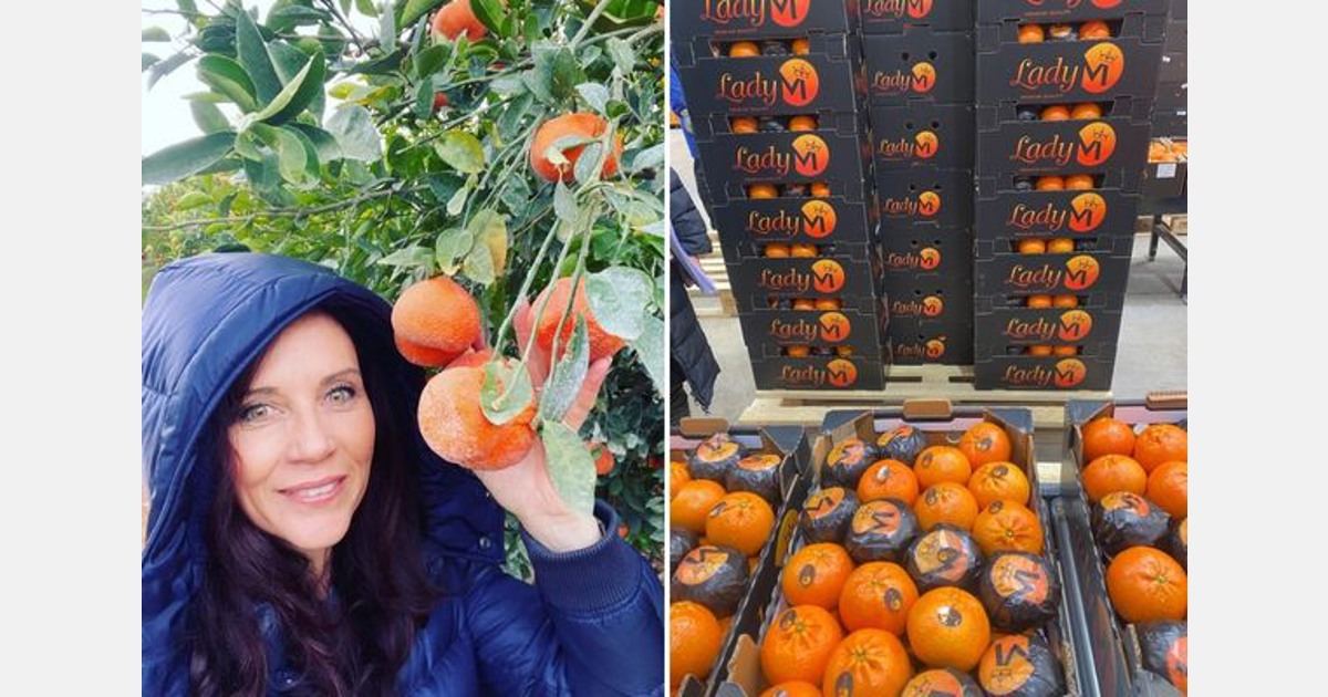 "Despite the decline in citrus volumes in Morocco, we are doing pretty ...