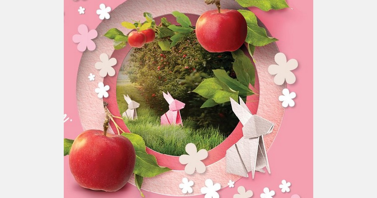 New Zealand’s Posy apples on the way to global markets