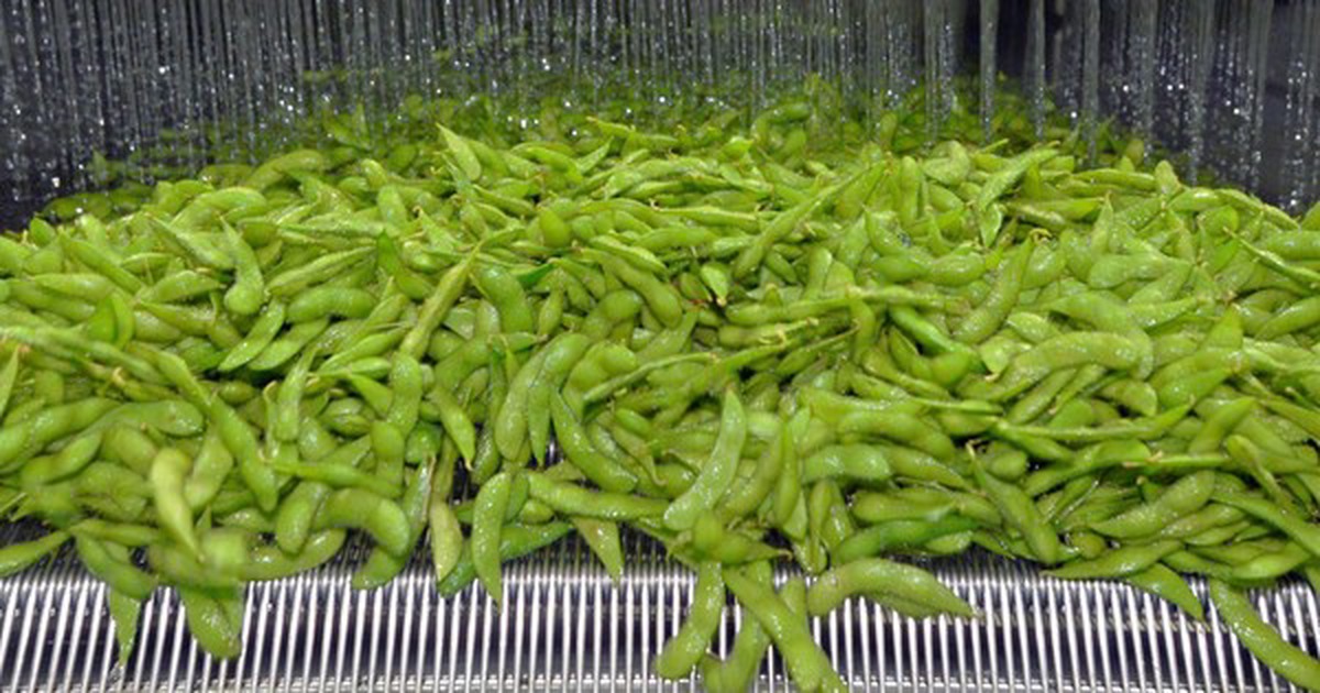 Meeting unique vegetable processing needs