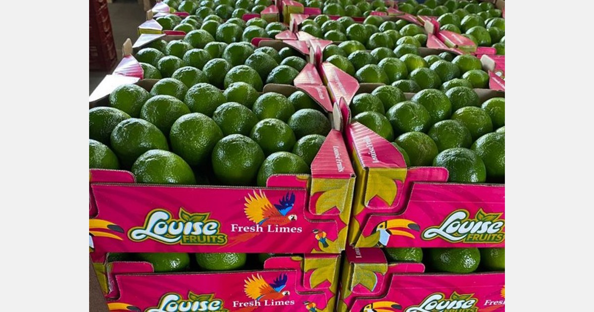 “On limes things change fast, Europe's high season is coming, orders and prices are increasing”