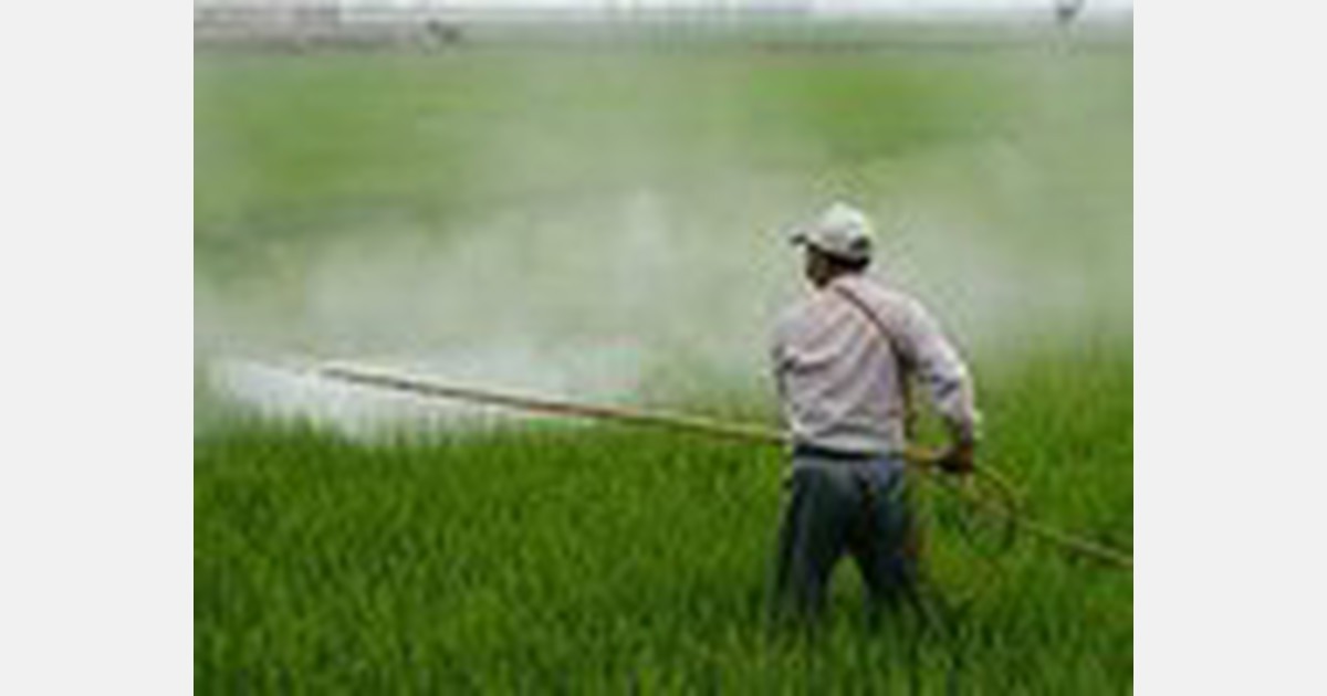 China releases National Food Safety Standard for MRL limits of 112 pesticides