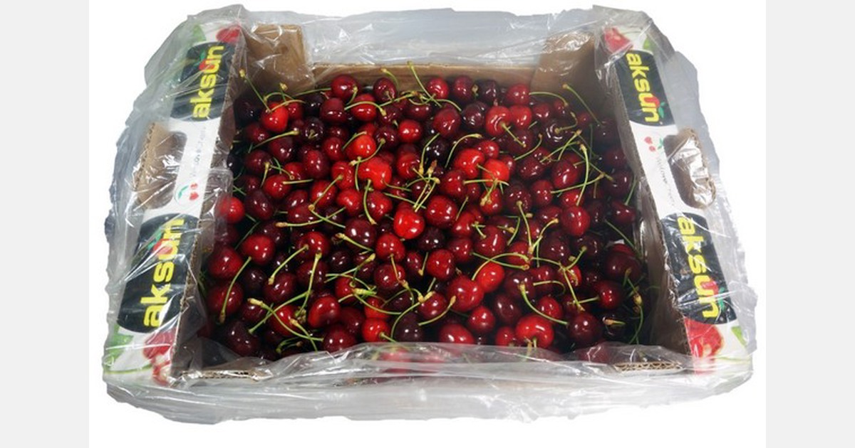 Turkish cherry harvest expected to start slightly early