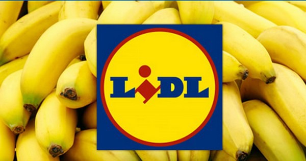 Lidl in Germany to pay price premium for Fairtrade bananas