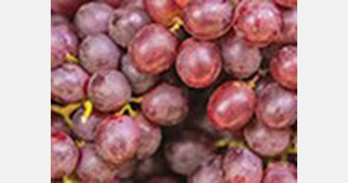 Abrafrutas celebrated advances in grape exports in China