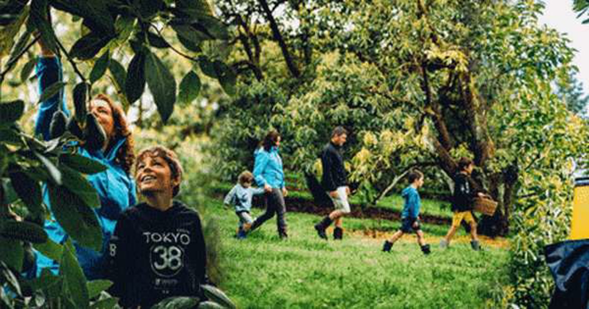 Global passion for avocados celebrated at 10th World Avocado Congress