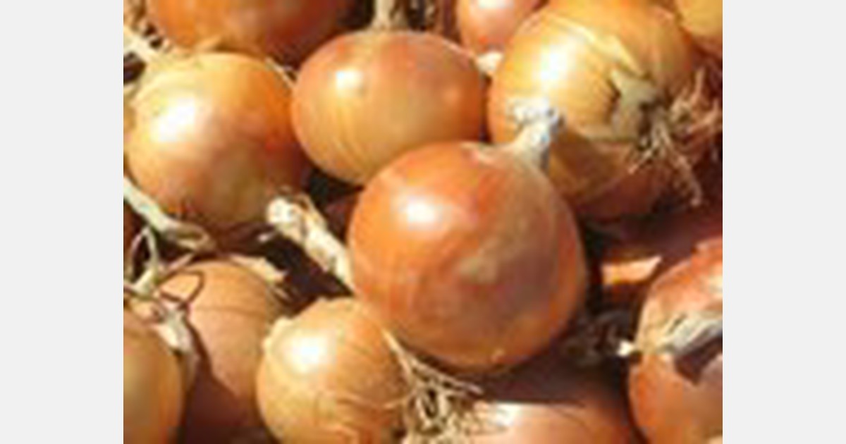 Ukraine imports onions from Kyrgyzstan, India and China