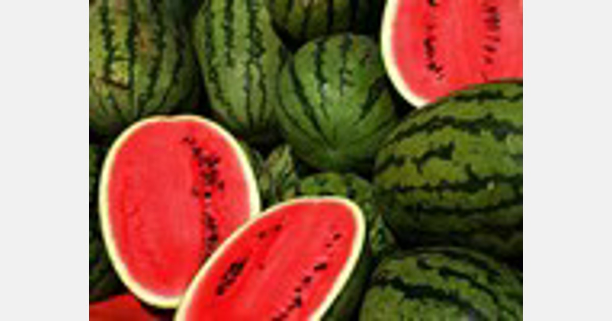 Counting down to start of Texas watermelon season