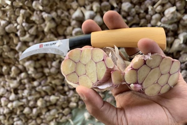 Egyptian garlic enjoys 2 months of no competition