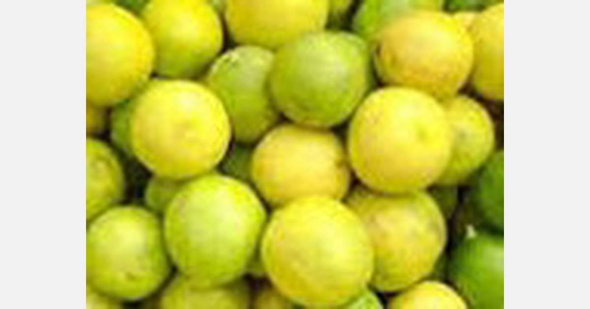 Lemon prices Rs 200 per kg in Ahmedabad retail market