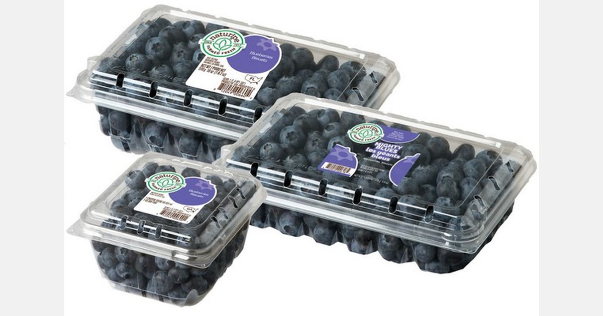 Southeast blueberry production gets underway