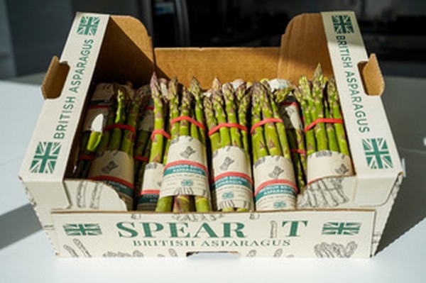 Nationwide Produce launches new premium asparagus brand - Spear It