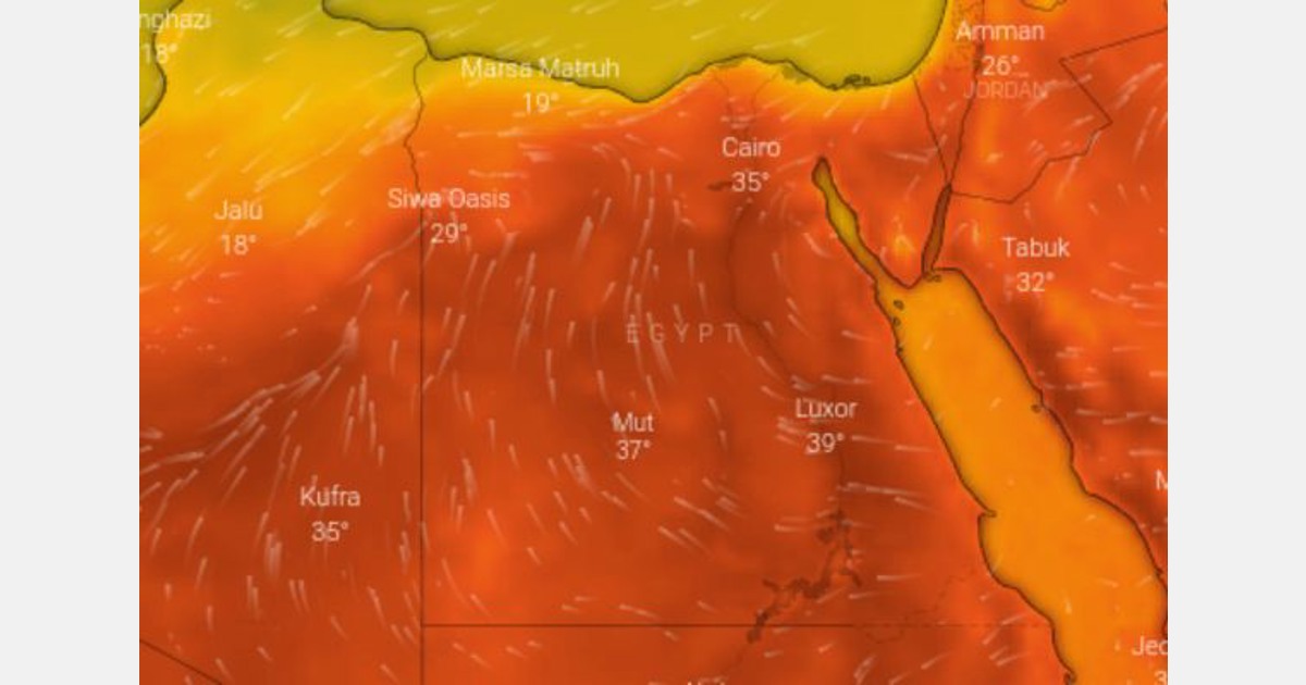 Egyptian producers brace for heat wave threatening crops this weekend