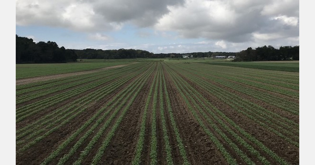 Herb production transitions to New Jersey this week