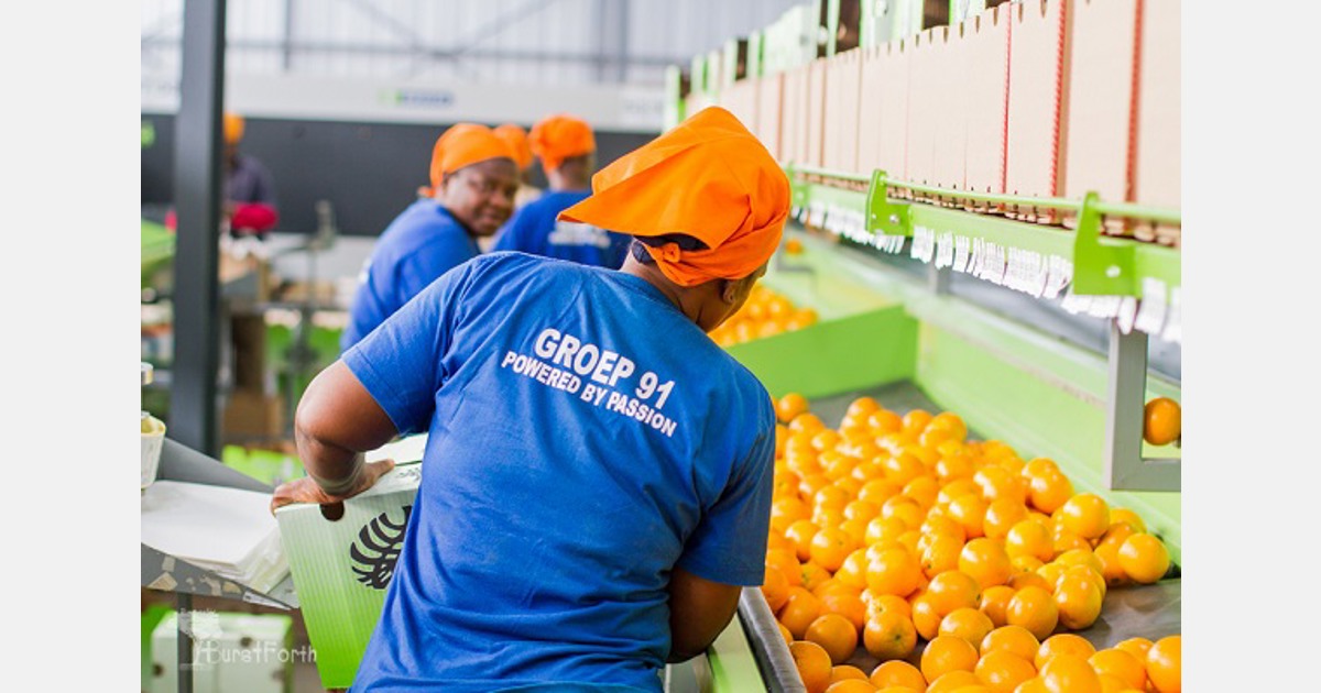 Letsitele citrus grower comes closer to its community