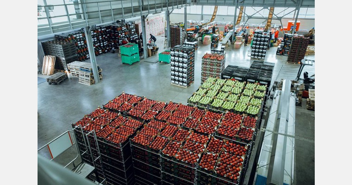 “Moldova is gradually diversifying its apple export market”
