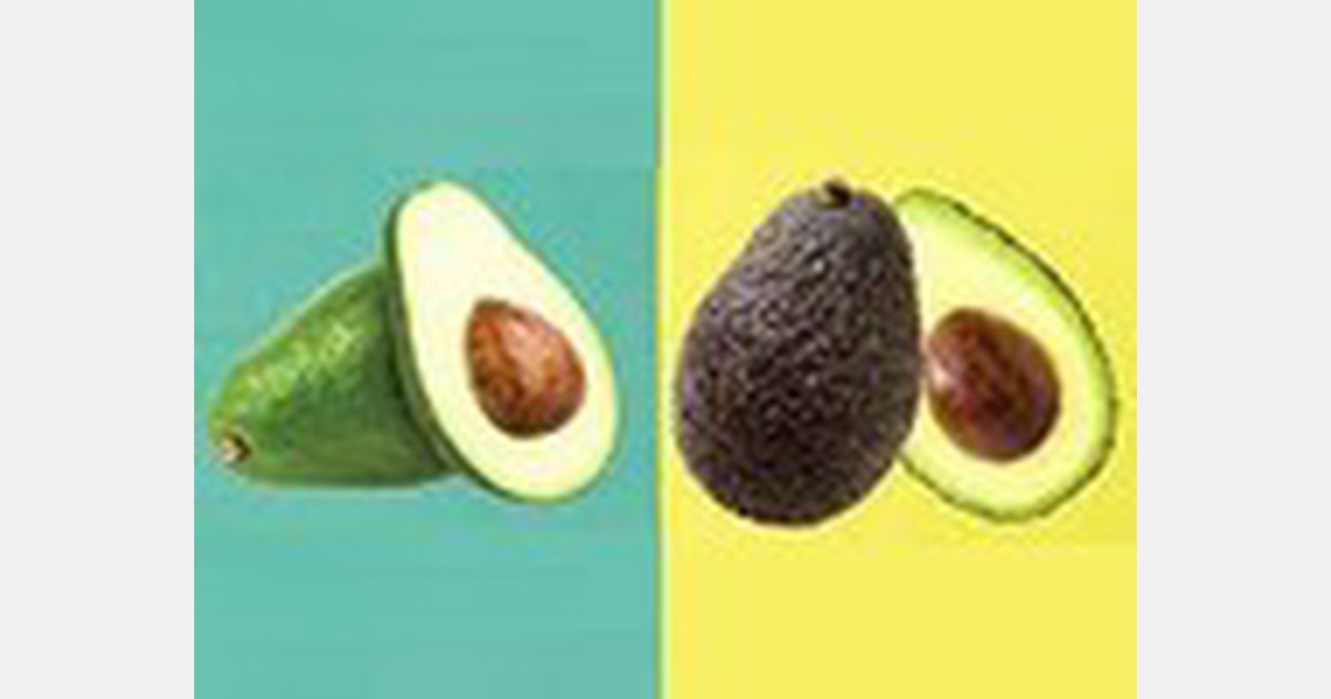 Hass avocados more popular than Shepard variety
