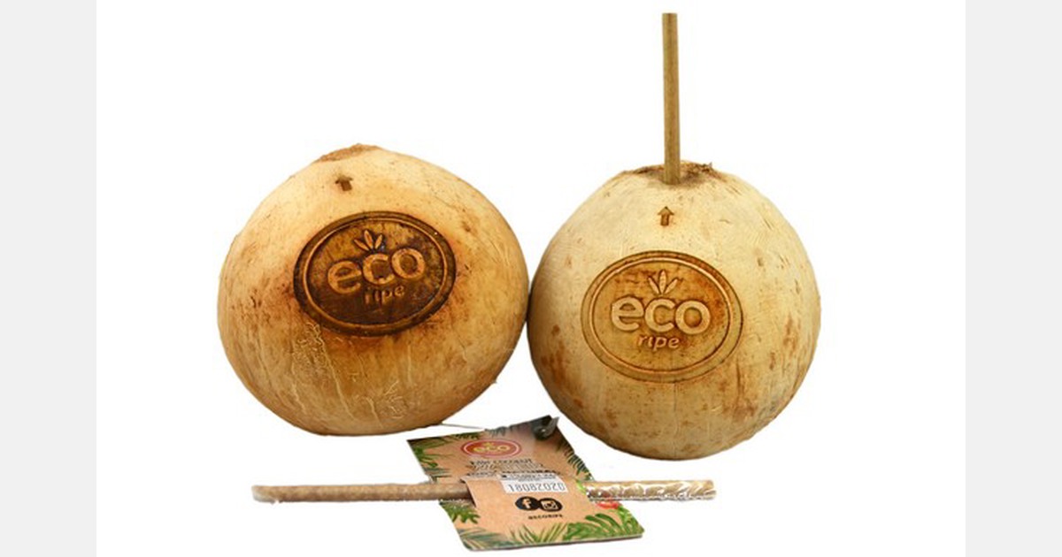 Consumers drawn to natural packaging of ready-to-drink coconuts
