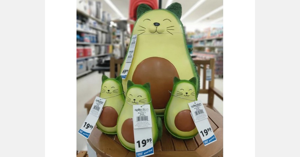 Canadians are running to buy Avo-cat-o statues