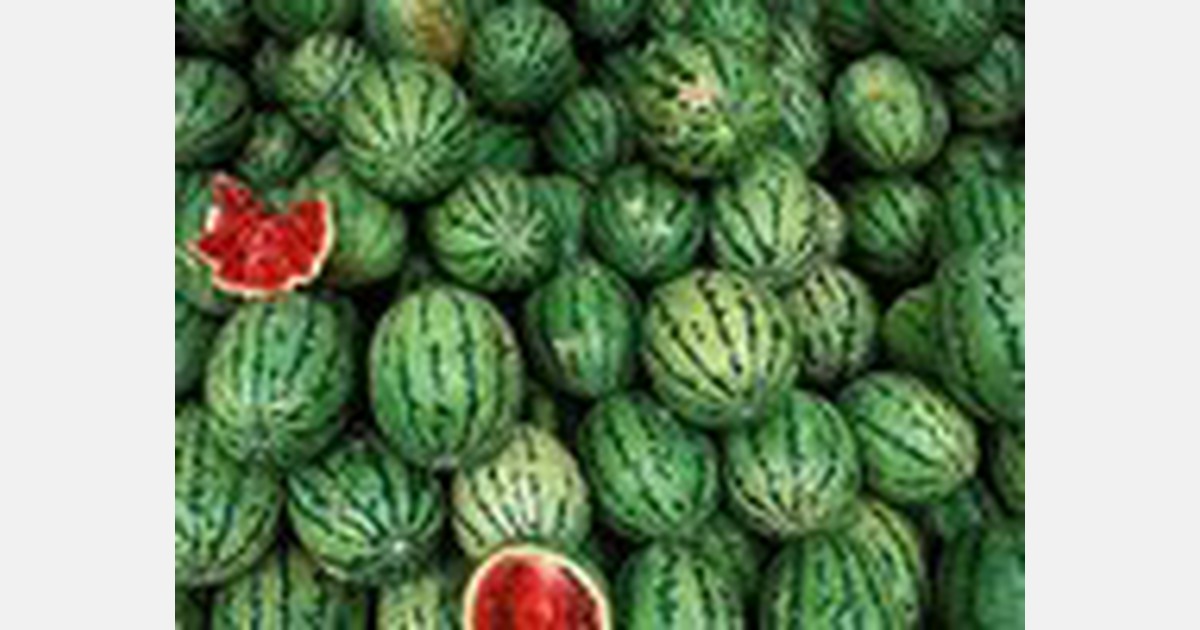 Indian farmer producer organizations successfully export watermelons to ...