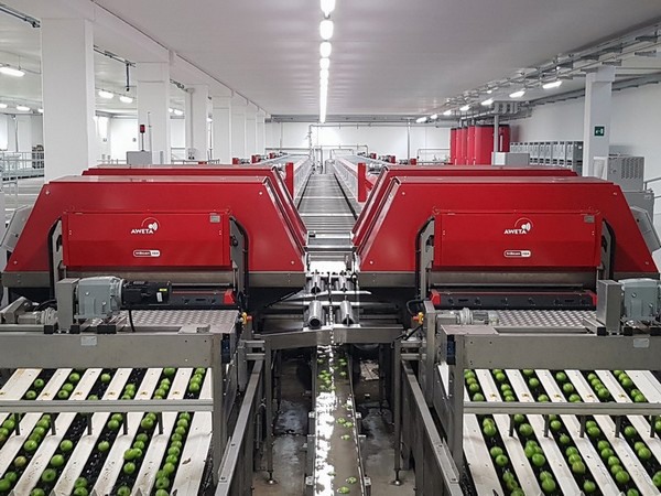 Rivoira reconfirms its trust in Aweta to satisfy overseas markets with ...