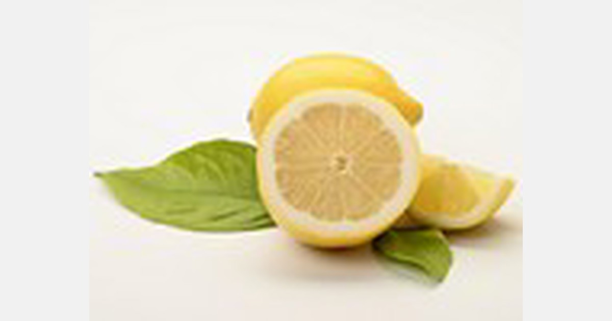 Spanish lemon Verna season kicks off