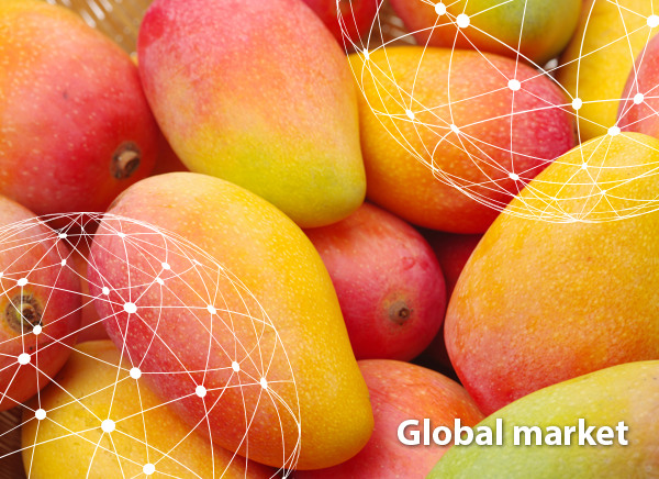 GLOBAL MARKET OVERVIEW MANGOES