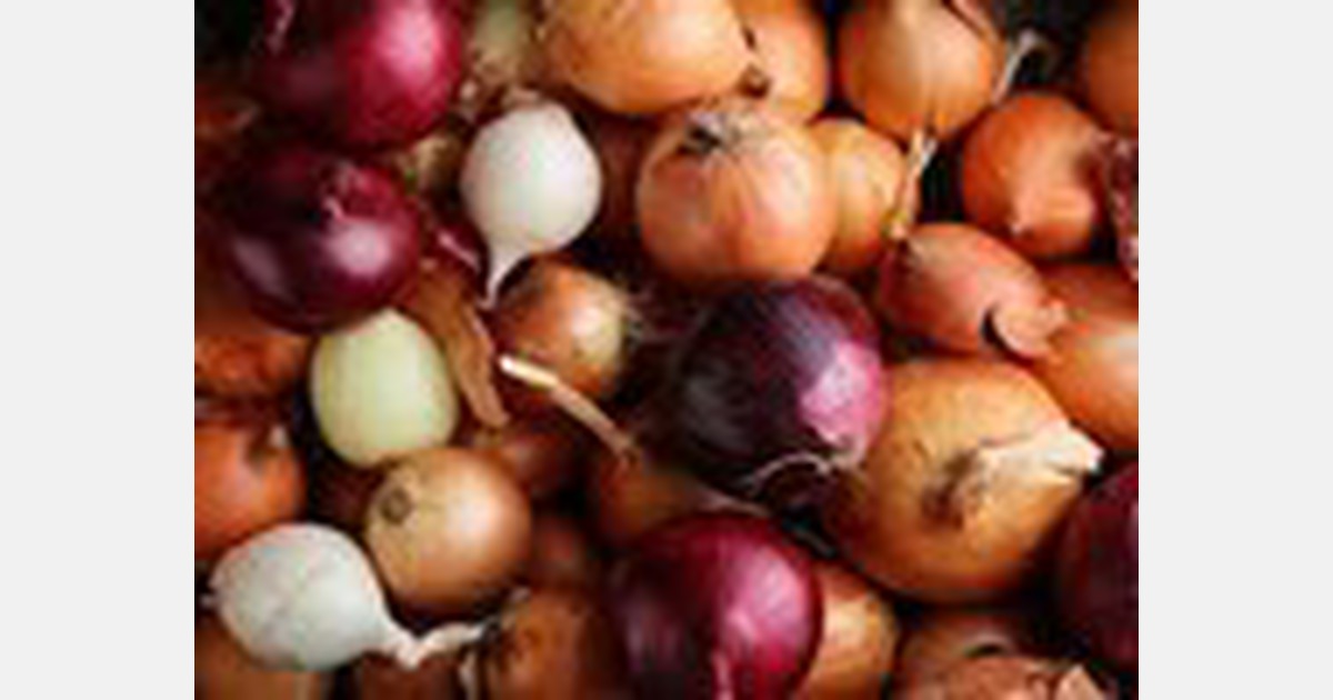 India: Nafed will likely start onion procurement on May 15