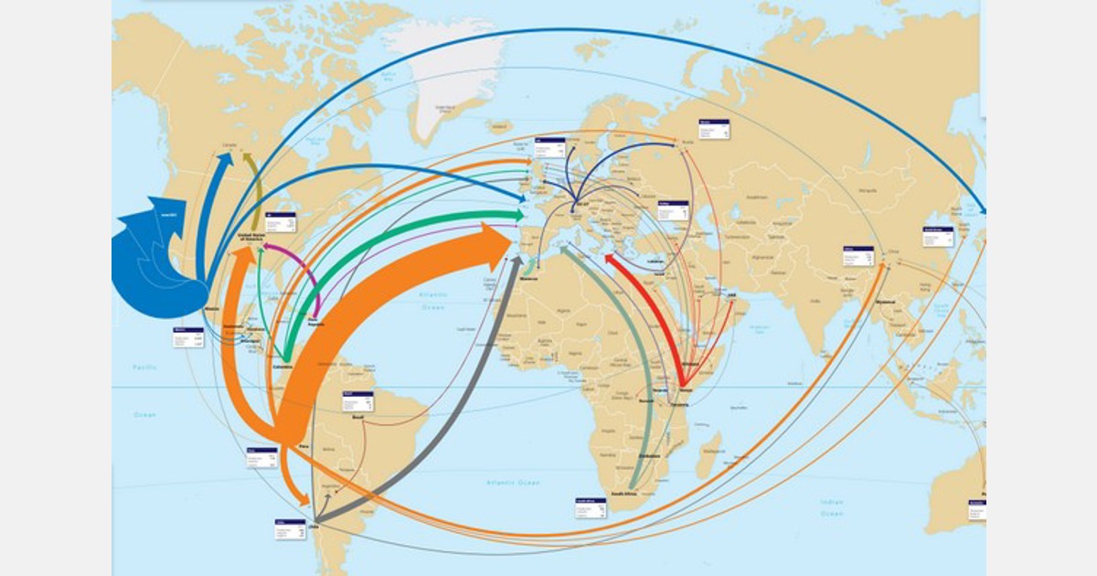 Avocado trade will continue to grow in increasingly competitive market