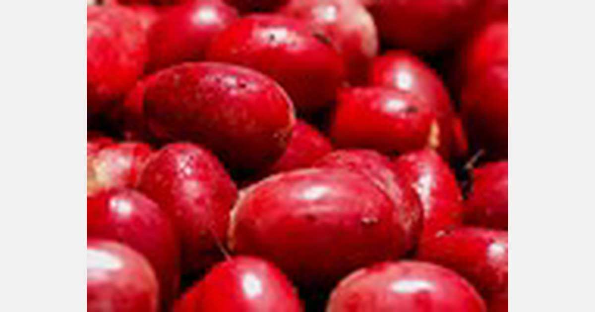 Ledidi berries secure a deal with two of the multimillionaire investors ...