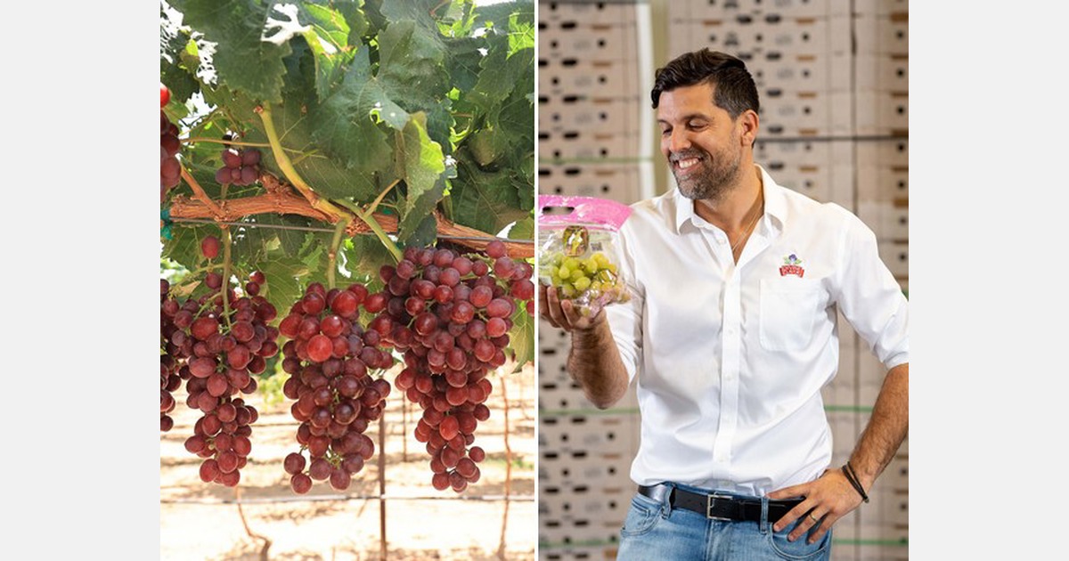 “Arguably, this could be the latest start of Sonora’s grape season ever”