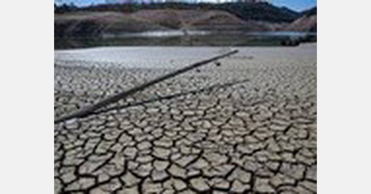 Northeast Spain faced with crippling drought