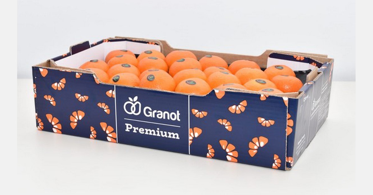Average Israel Orri mandarin season coming to end