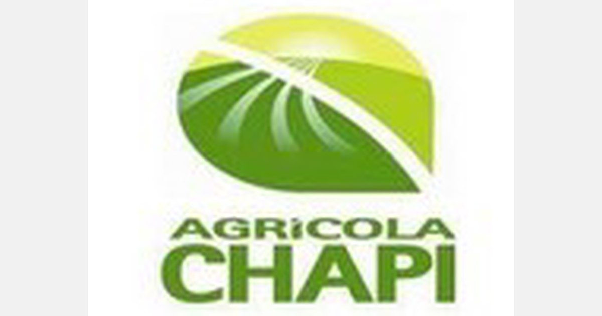 Agrícola Chapi expands avocado and table grape production