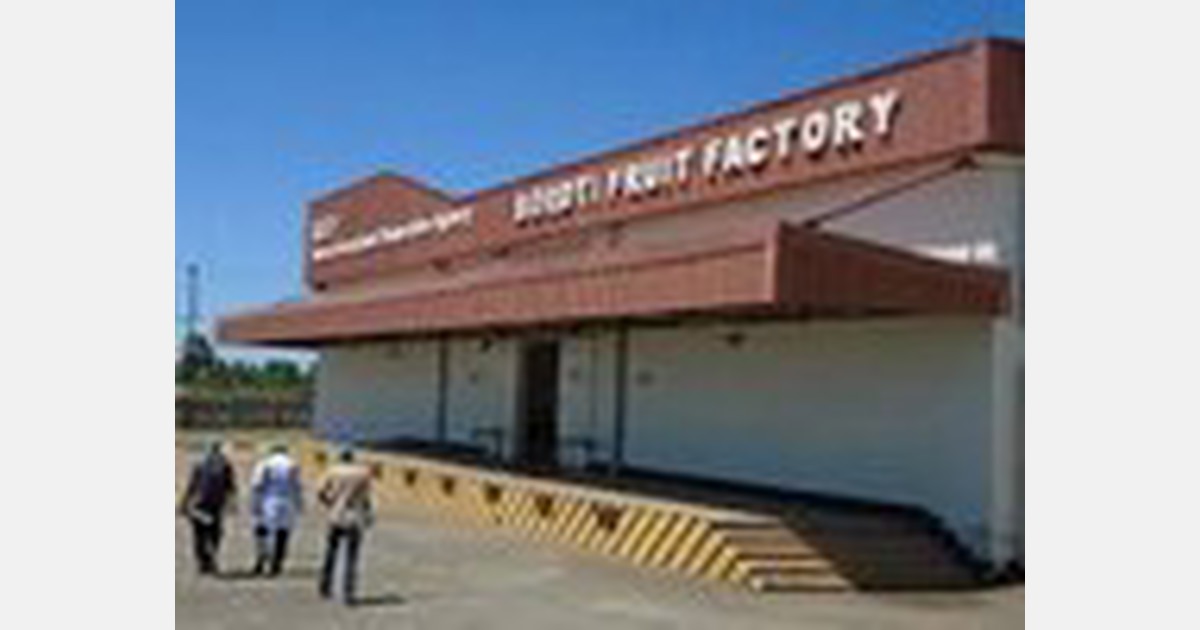 Teso sub-region citrus farmers lose faith in Soroti fruit factory