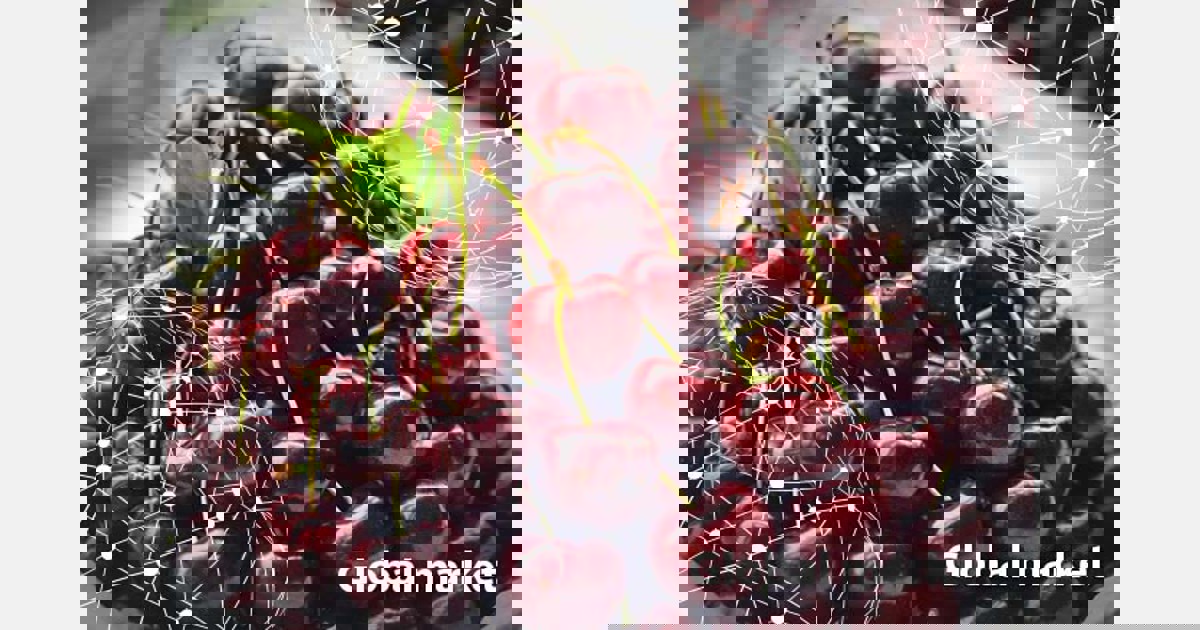 GLOBAL MARKET OVERVIEW CHERRIES