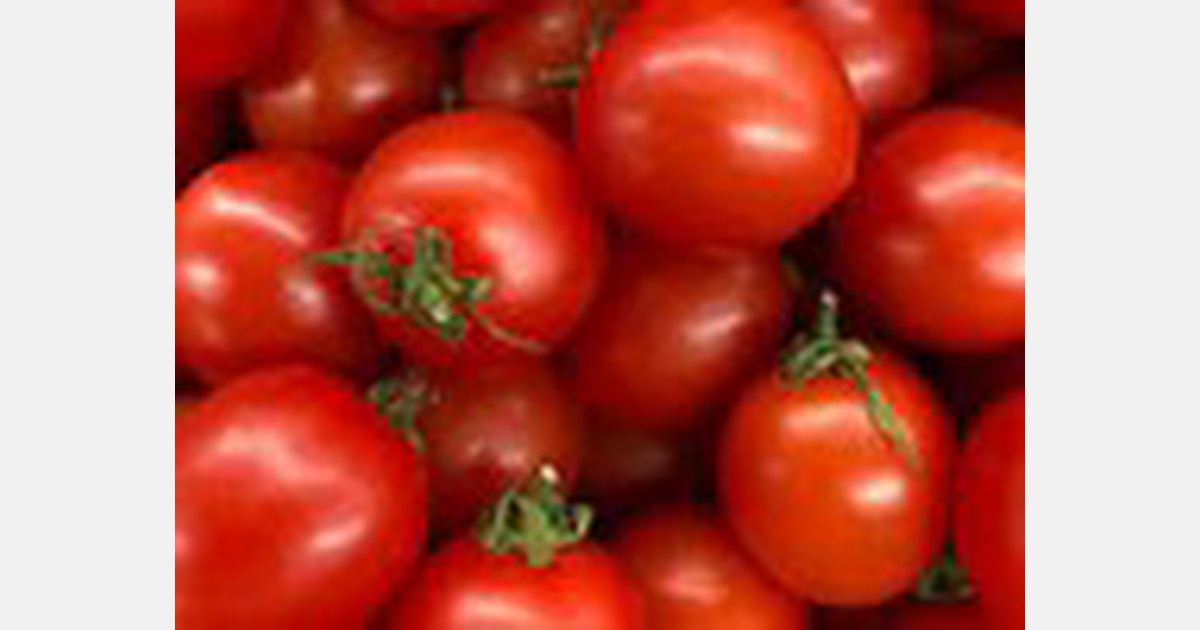 Nigerian tech enthusiast invents system to preserve tomatoes