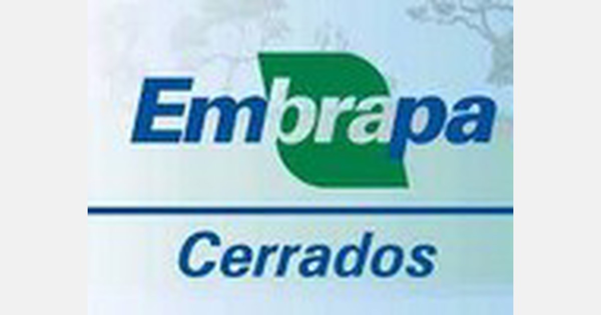 Embrapa Cerrados develops genetically improved pitaya cultivars