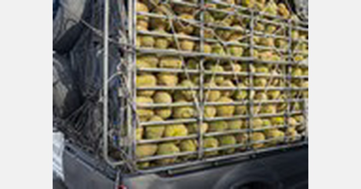 Hundreds of durian trucks stuck at border Vietnam-China