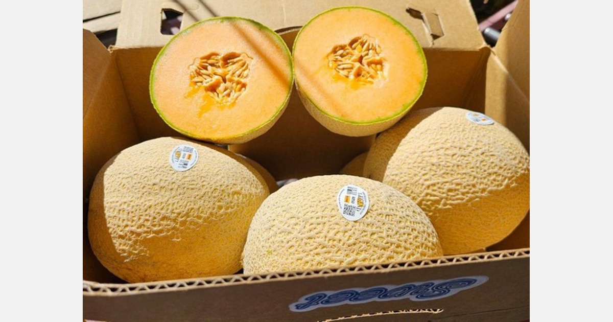 Domestic cantaloupes also starting late this spring