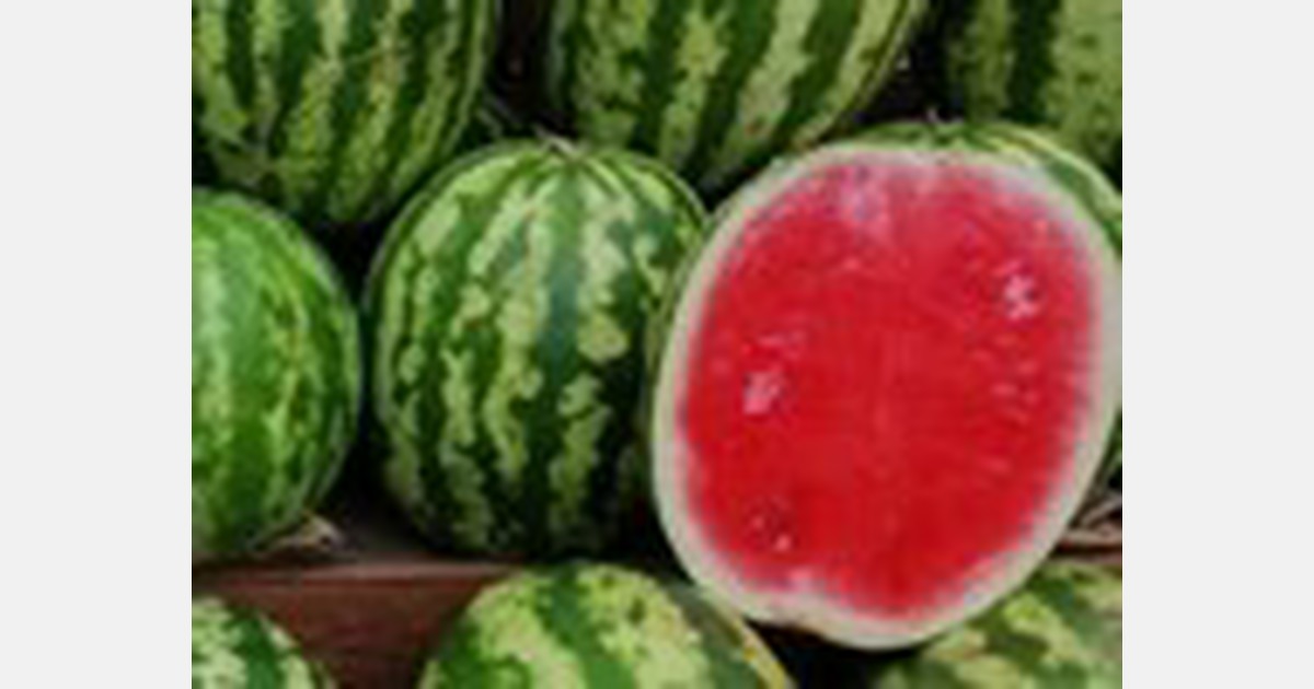 Watermelon exports from Uzbekistan were record high in May and could exceed 100,000 in June